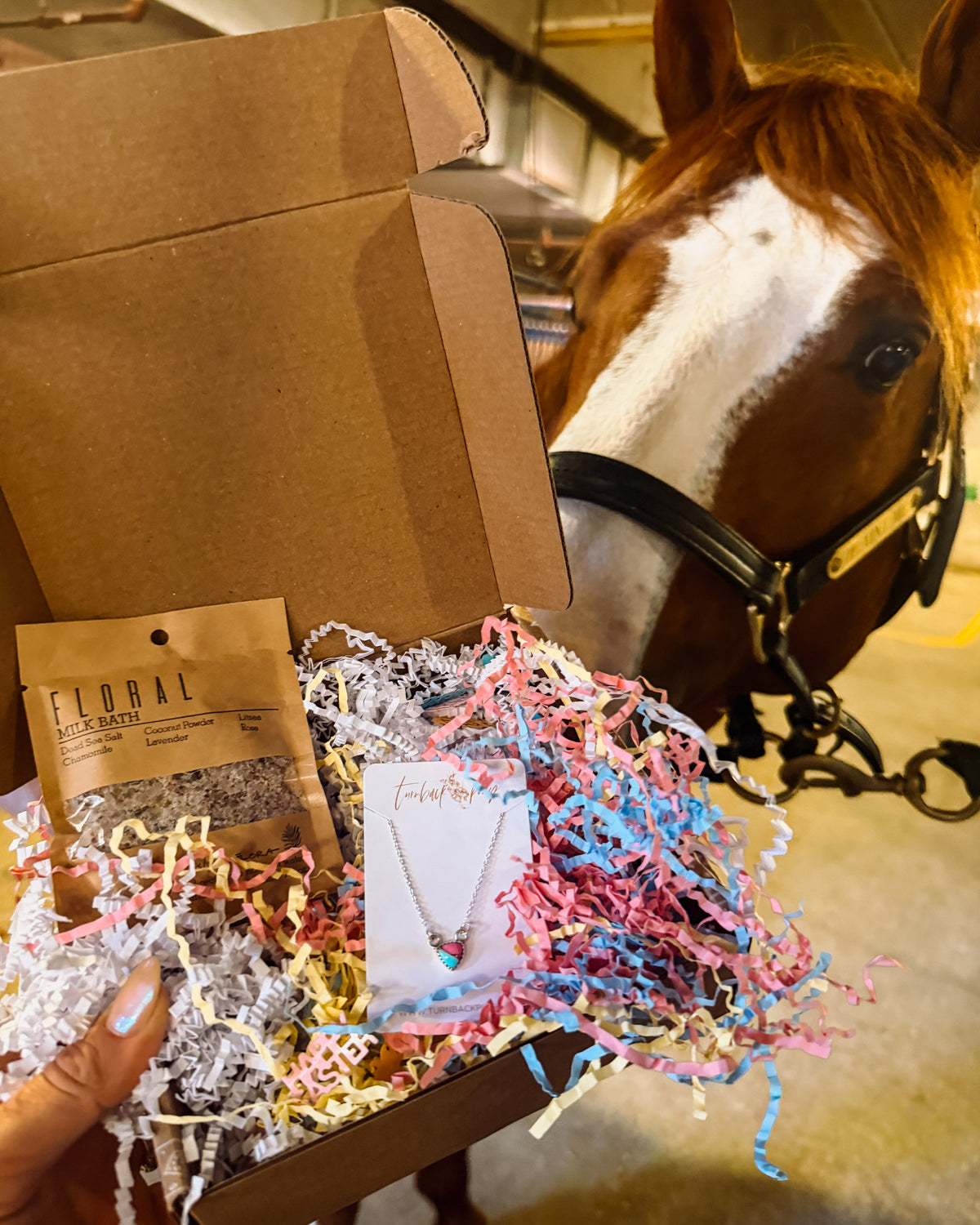 Pony Club Subscription Boxes – Turnback Pony