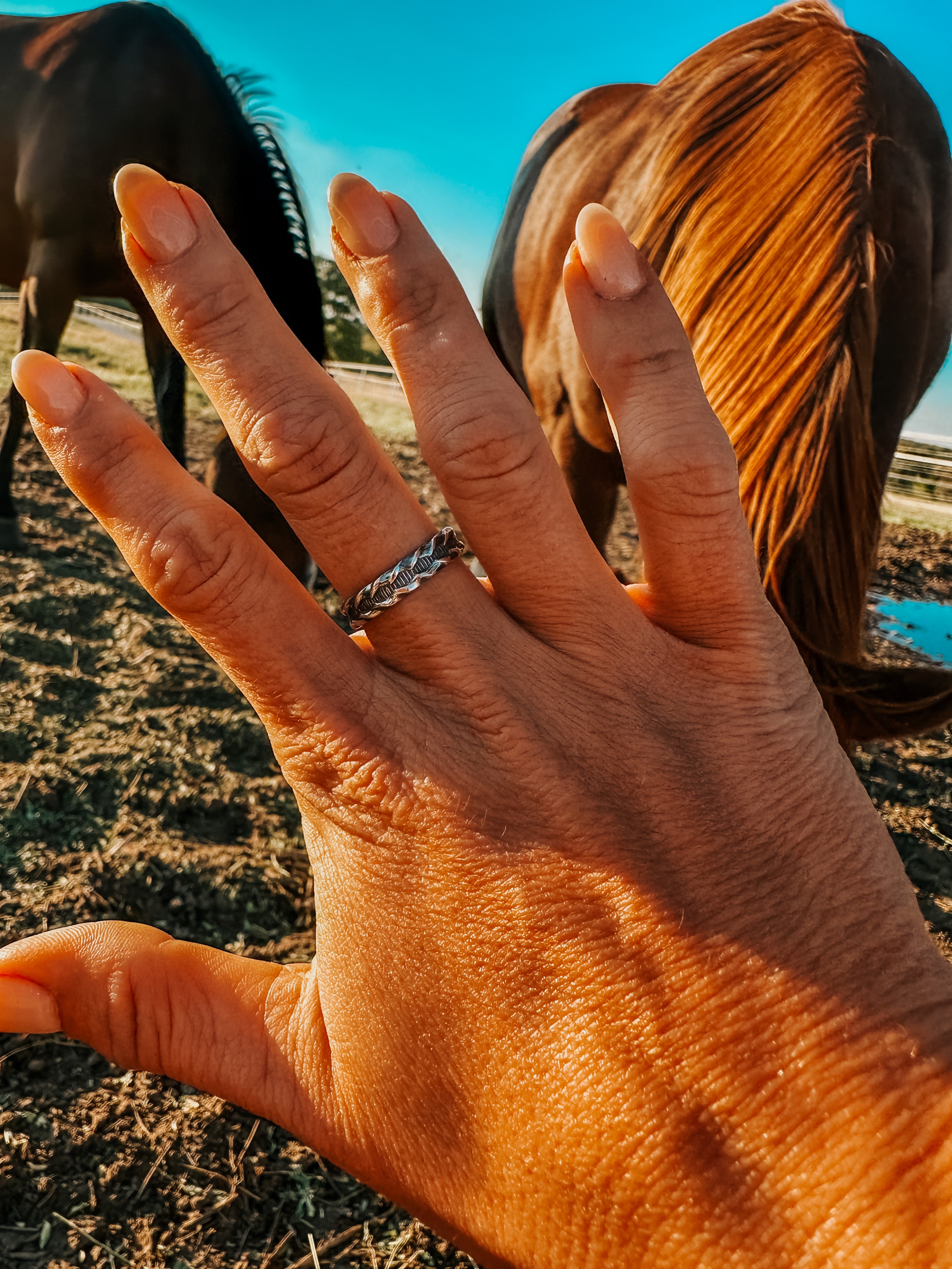 Punchy Exclusive Band – Turnback Pony